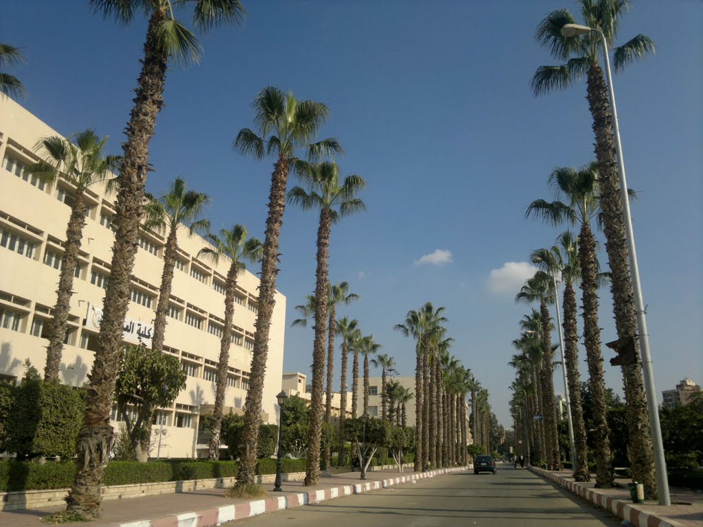 Kenali Fakulti Perubatan Dan Farmasi di Universiti Zagazig