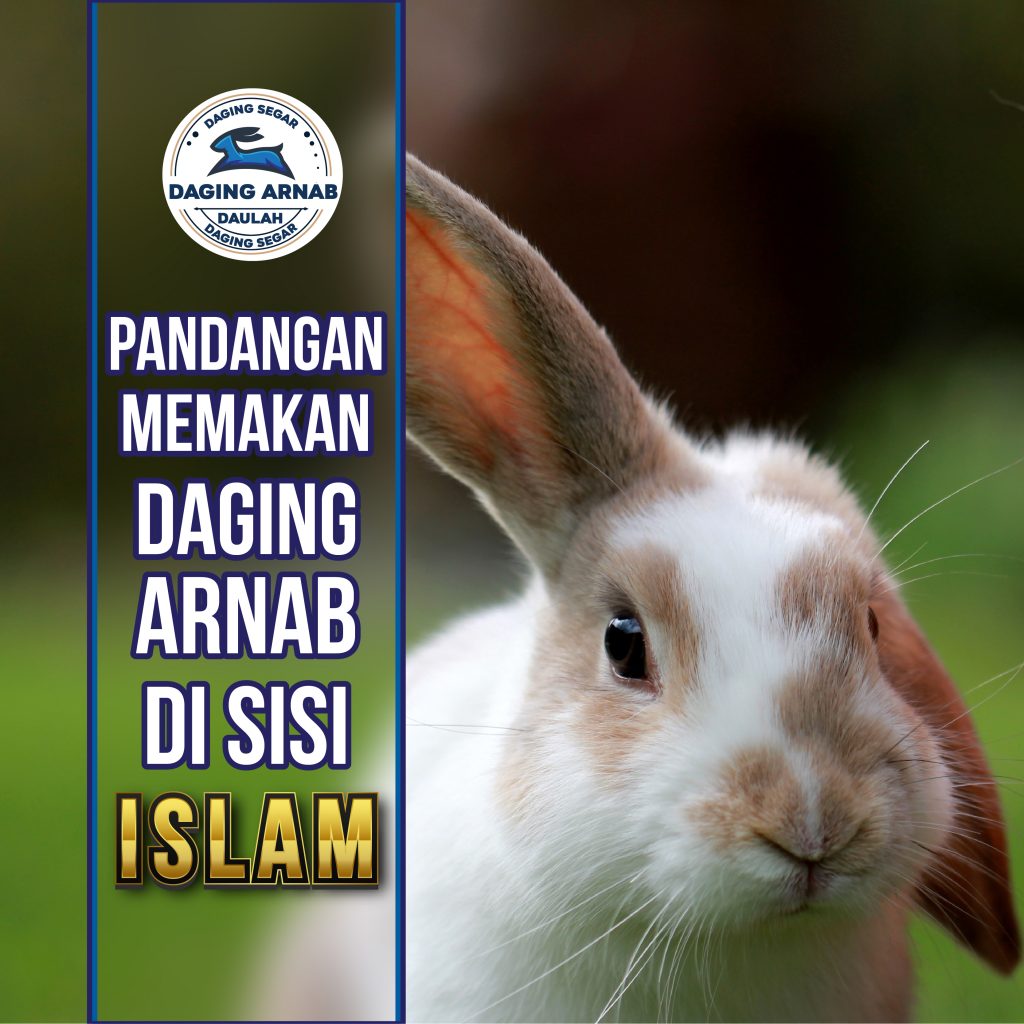 Pandangan Memakan Daging Arnab Di Sisi Islam.