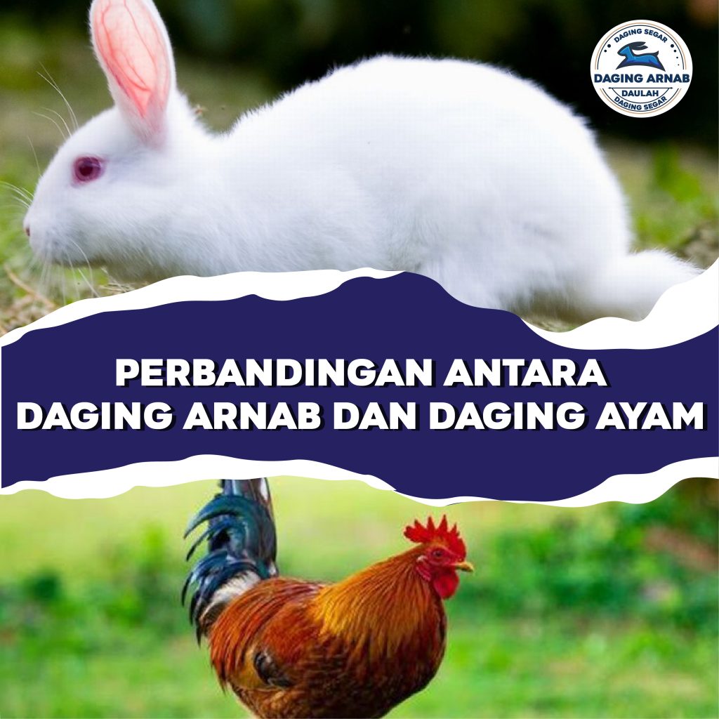 Perbandingan Antara Daging Arnab Dan Daging Ayam.